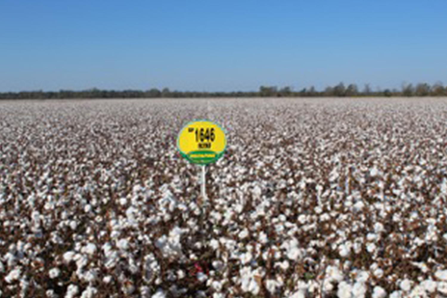 National Field Sign Program - NVISION